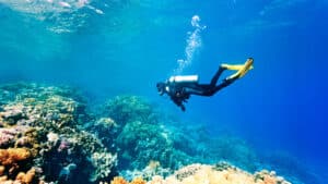 Diving in Maldives: The Best Sites & What to Expect?