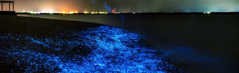 Maldives Local Life: What Living in a Tropic Looks Like?