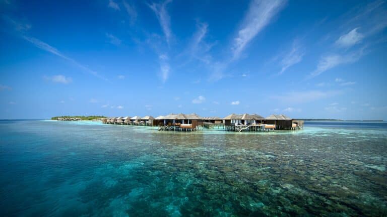 Lily Beach Resort & Spa: Reviews, Amenities + Other Info
