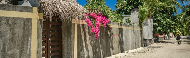 Maldives Language: Guide to the Local Language Dhivehi