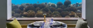 Maldives Underwater Restaurants: 7 Spectacular Choices